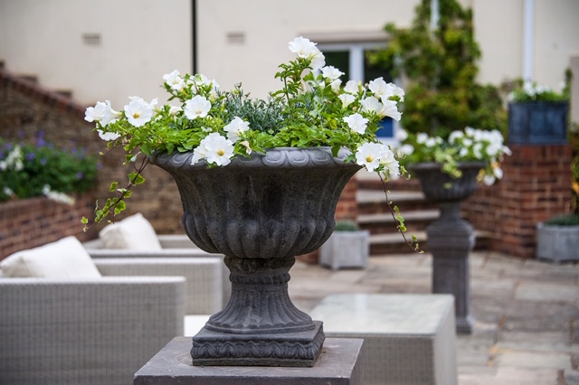 The Lodge – Shere Open Gardens